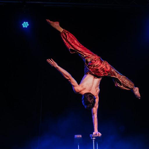 Nestor le contorsionniste - Contorsion et équilibres - International ...