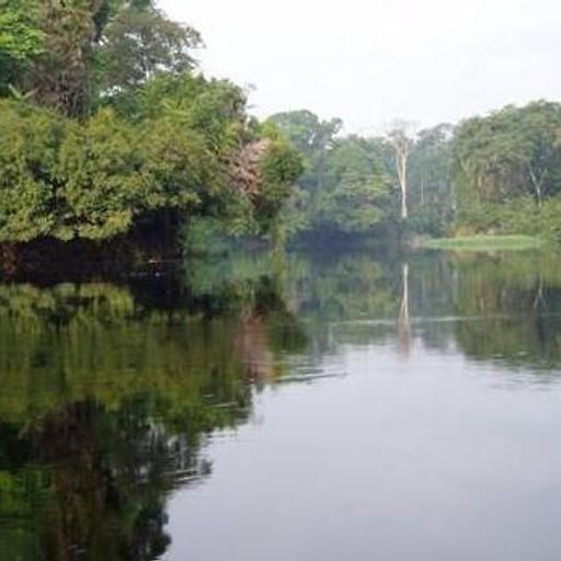 la Réserve Communautaire du Lac Telé - - la Likouala - Nord du Congo ...