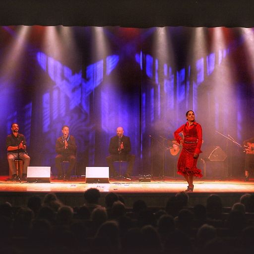 Flamenco Spectacles - Cie Maria Gasca / Lyon - Acteur Fête France