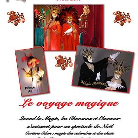 MAC RONAY - Spectacle de Magie - Magie Comique - Faux Serveur - Côte d ...